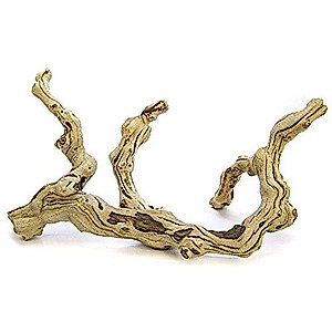 Zoo Med Premium Sand Blasted Grapevine for Reptiles, Birds, Rodents | Terrarium, Aviary, or Enclosure Decoration - Medium 12"