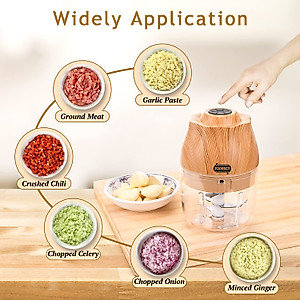 Electric Mini Chopper Food Processor, TOPESCT Portable Garlic Grinder, Cordless Small Food Chopper with USB Charging for Ginger Onion Chili Vegetables (250 ml)