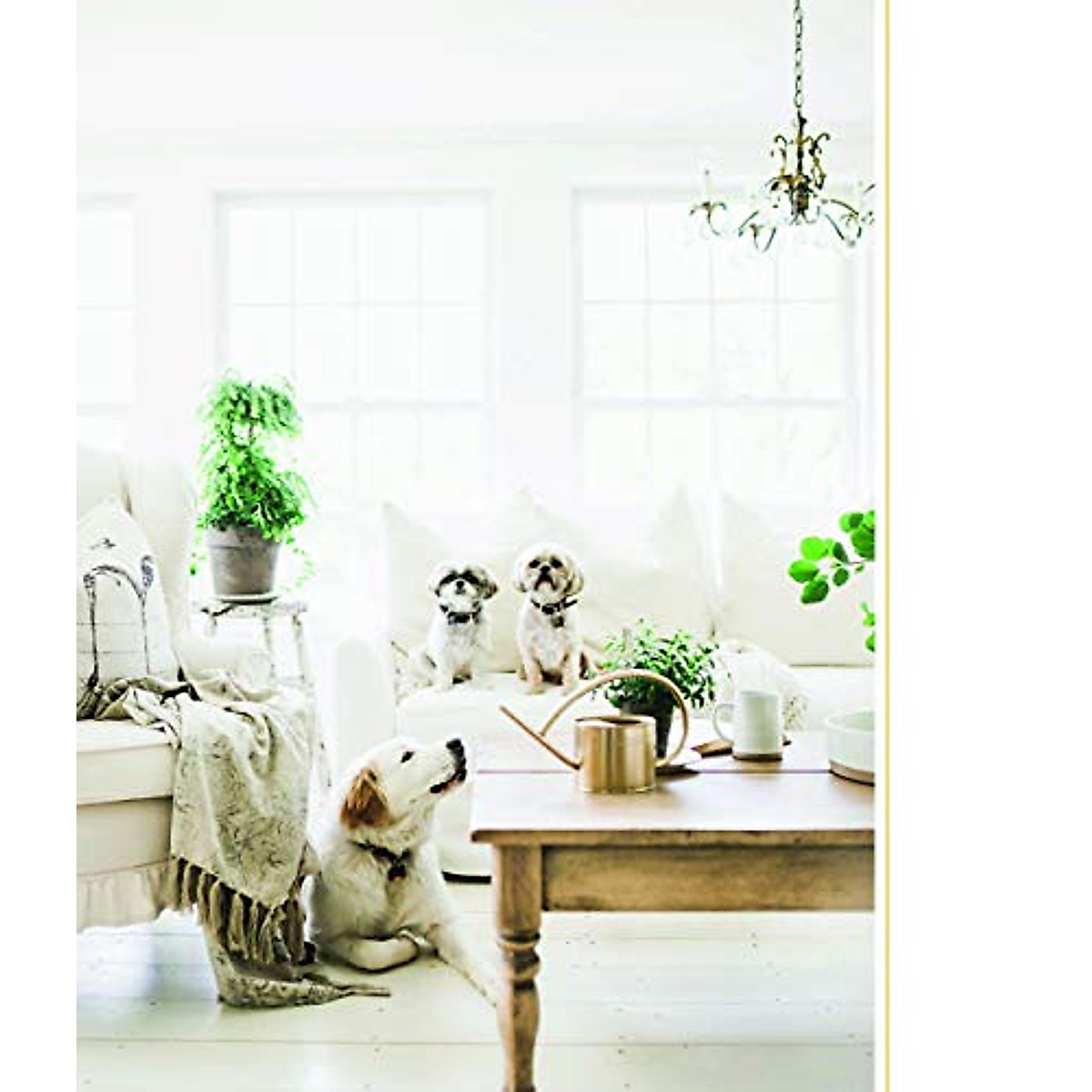 Cozy White Cottage: 100 Ways to Love the Feeling of Being Home