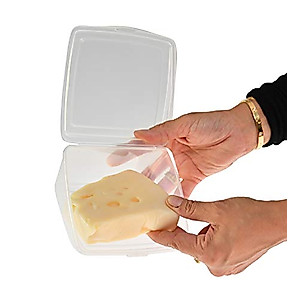 Home-X Oblique Plastic to-Go Container for Cheese Wedges, Cake, and Pie Slices