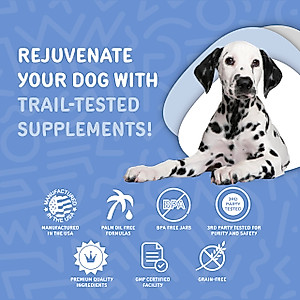 waggedy Great Start Puppy Bundle Multivitamin & Calm Aid – Large or Small Breed Puppy Supplement: Stress, Anxiety, Joint, & Immune System Support (One to Two Month Supply) 120 Puppy Treats