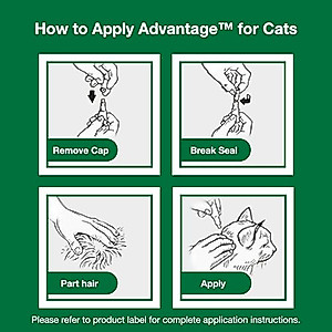Advantage Topical Cat Flea Treatment and Prevention for Large Cats Over 9 lbs. | Apply Flea Drops Monthly | 2 Treatments