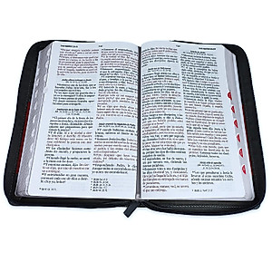 Biblia Letra Grande 12 puntos con Cierre Reina Valera 1960 gris y rojizo con indice