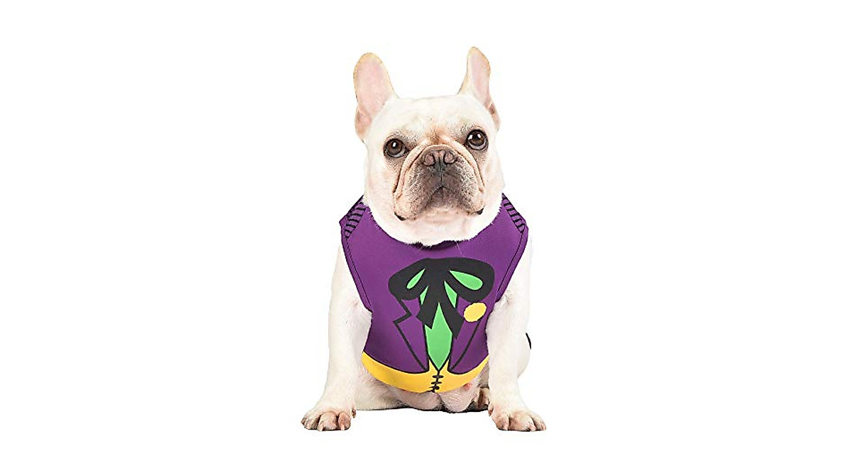 DC Comics Joker Dog Costume XS | Fun Halloween & Party Pet Costume