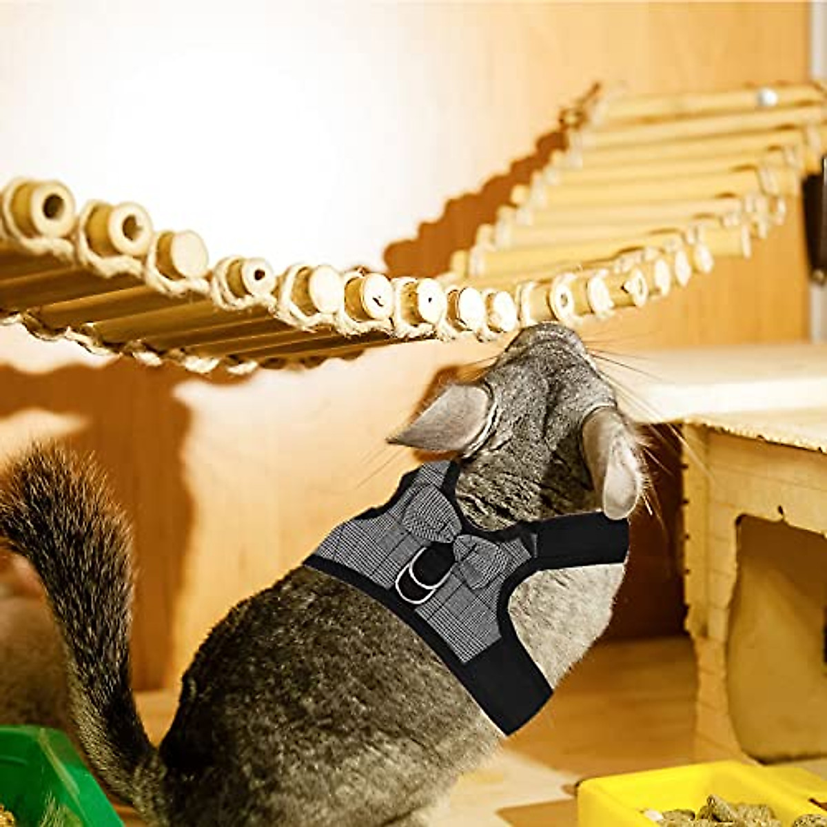 Scicalife Lovely Bunny Vest Harness and Leash Set Practical Pet Supplies for Ferret RatsLeash