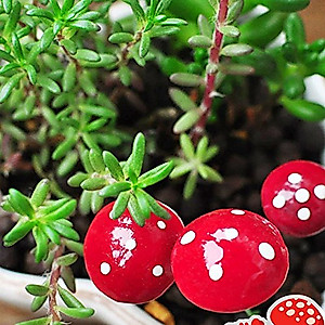 UTENEW Cute Resin Craft Decoration Mushroom Fairy Garden Miniatures Accessories (Pack of 50)