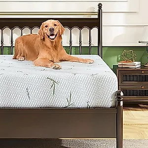 IULULU King Size Mattress, 10 Inch King Mattress in a Box, Gel Memory Foam Bamboo Cover Mattress Green Tea Cooling Medium Firm Bed Mattress for Pain Relief, CertiPUR-US Certified, White