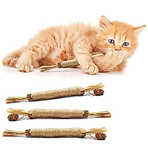 Catnip Toys with Silvervine for Cats - 3 Pack Cat Chew Toys for Aggressive Chewers, Edible Interactive Cat Toys for Indoor Cats Kitten Teething with Natural Silvervine Sticks for Teeth Cleaning