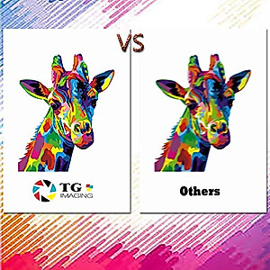 TG Imaging (3PGBK+BCYM Compatible Replacement for Canon PGI280 CLI281 Ink Cartridge PGI-280 CLI-281 XL XXL Used for Pixma TR8520 TR8500 TS9120 TS6320 TR7520 Printers (7-Pack)