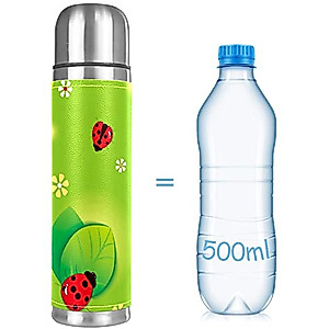 Insulated Water Bottle Stainless Steel Water Bottles Metal Water Bottle, Spring Ladybug Flower Leaves
