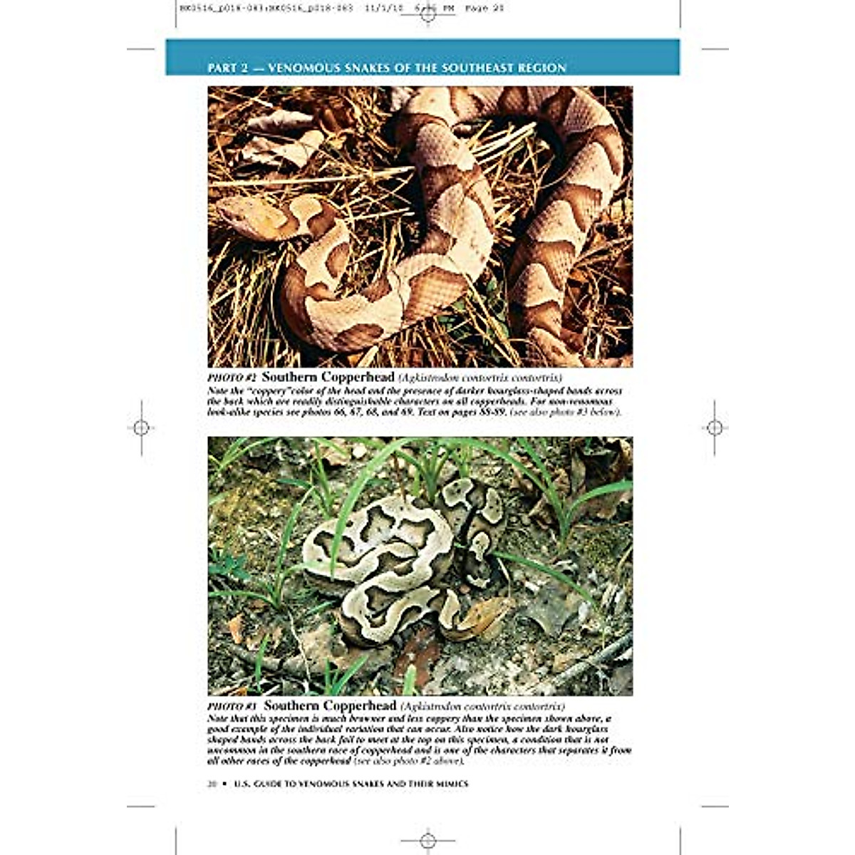 U.S. Guide to Venomous Snakes and Their Mimics