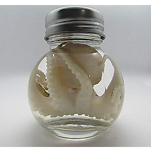 Wet Specimen Taxidermy Octopus Kraken Oddities Ball jar Preserved Specimen