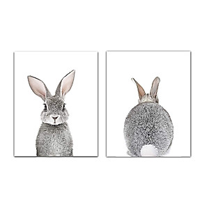 Designs by Maria Inc. Baby Nursery Wall Decor Art - Set of 2 (UNFRAMED) Wall Artwork 8x10 Baby Bunny Front and Back Photographic Print