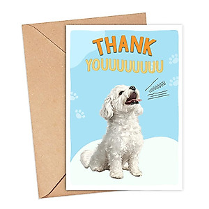 Bichon Frise Dog Card, Dog Thank You Card, Cute Pun Thank You Card For Him Her, For Friends, Teacher, Boss, Coworker, Dog Lover Gift, Veterinarian Thank You Gift, Bichon Frise Dog Lover