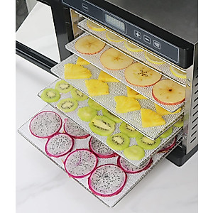 Kispog Silicone Mesh Dehydrator Sheets, for Food Dehydrator & Freeze Dryer, Premium Non-Stick Silicone Reusable, 6 Pcs/sets 14x14 in…