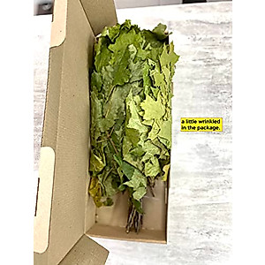 ECOVENIK - Natural Canadian Oak Branches Dry for a Sauna Accessories for Banya 100% Handmade (Made in Europe)