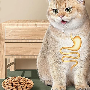 Catnip Chew Toys, Kitten Catnip Balls, Cats Balls Treats Set, Cat Teeth Cleaning Toys, Natural Catnip Balls, Engaging Catnip Playthings, Fun and Interactive Toy for Cats