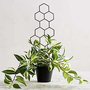 WellSign Small Trellis for Potted Plants, 15.94 inch Metal Plant Trellis for Climbing Plants Indoor Pot Honeycomb Shape Lattice for Ivy Vines Hoya Houseplants Flower 2 Pack