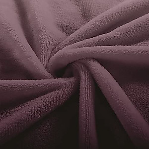 Musihy Ultra Soft Blankets, Throw Blankets for Adults Gradient Purple Soft Blanket Throw Gradient Purple Throw Blanket Full 51"x59"