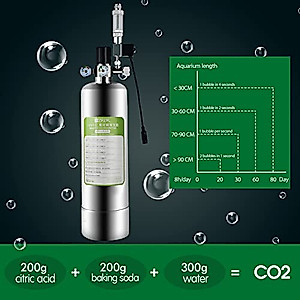 ZRDR CO2 Generator System Carbon Dioxide 2L with Dual Gauge Display Pressure Gauge Automatic Pressure Relief Valve Bubble Counter for Plants Aquarium, Stable Output