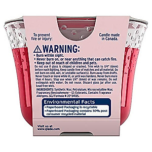 Glade Candle Apple Cinnamon, Fragrance Candle Infused With Essential Oils, Air Freshener Candle, 3-Wick Candle, 6.8 Oz