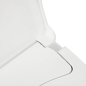 Non-Electric Bidet Toilet Seat Self Cleaning Water Sprayer with Dual Nozzles D-type Toilet Seat Bidet Seat Toilet for Rear & Feminine Cleaning Bidet Attachment,Soft Close