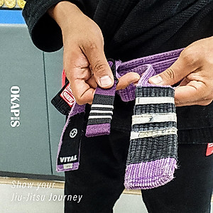 OKAPIS Jiu Jitsu Keychain BJJ Belt Promotion Gift Brazilian Jiu-Jitsu White Blue Purple Brown Black Belt Backpack Keyring (Blue)