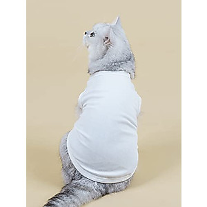 QWINEE 3pcs Dog Shirt Tank Top Puppy Vest Dog Cat Basic Shirts Clothes for Small Medium Dogs Kitten Kitty Multicolor M