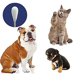 SHINEMOON Original Big Cotton Buds for Pets – Premium Cat and Dog Ear Cleaner Cotton Swabs – Soft, Absorbent Cleaning Ear Bud with Long 6 Inch Wood Handle (200pcs Large)