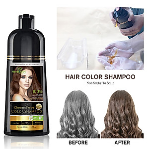 Herbishh Hair Strengthening Combo Contains Chestnut Brown Hair Color Shampoo, 500ml + Argan Oil for Hair, 30ml (For Damage Repair & Frizz Control)
