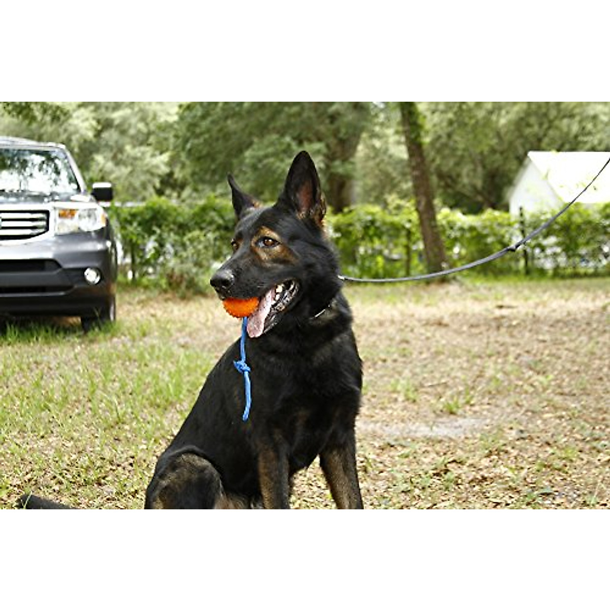 The Nero Ball Classic TM - K-9 Ball On a Rope Reward and Exercise Toy - Police K-9 - Schutzhund