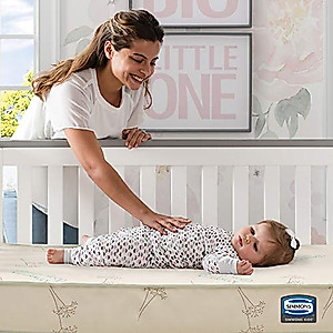 Delta Children Collins Wood Toddler Bed + Simmons Kids SlumberTime Naturally 2-Stage Premium Foam Crib and Toddler Mattress - Waterproof - GREENGUARD Certified [Bundle], Bianca White