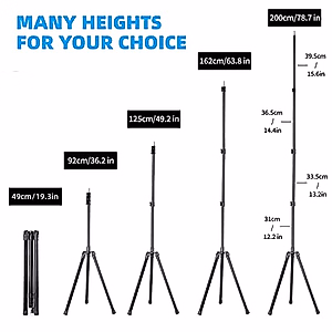 78.7 inch/7.2ft Adjustable Light Stand Tripod, Premium Aluminum Photography Tripod Stand with Ball Head, Compatible with Lights, Projector, Softbox, Cameras, Projector, Relfectors, Umbrellas
