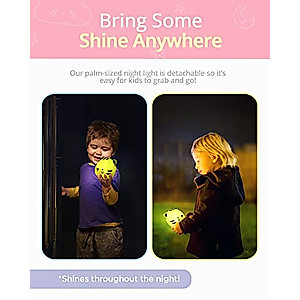 SomeShine Kids Night Light - Detachable Tiger Wall and Desk Kawaii Lamp with Mount, Touch Operation, 1 Hour Auto-Off Timer, and Adjustable Brightness, Safe and Durable Nursery Night Light for Kids