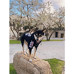 ChoChoCho Woof Dog Hoodie, Designer Dog Hoodies for Small Medium Large Breeds, Art Collection Dog Sweatshirts, Street Drawstring Hoodies Outfit Clothes for Puppy Puppies (M, Sakura/Black)