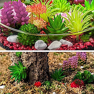 Housenior 24 Mini Artificial Succulent Plants Unpotted : Fake Succulents Picks Realistic Plastic Cactus Stems for Terrarium Bulk Small Faux Assorted Arrangements Flocked Greenery