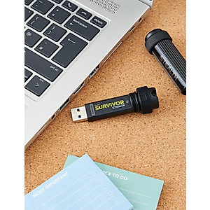 Corsair Flash Survivor Stealth 64GB USB 3.0 Flash Drive, Black (CMFSS3B-64GB)