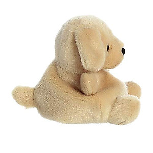 Aurora® Adorable Palm Pals™ Sunny Lab™ Stuffed Animal - Pocket-Sized Play - Collectable Fun - Brown 5 Inches
