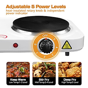 2000W Electric Hot Plate,Mini Double Burner Countertop Cooker Compatible for All Cookwares Cooking with 5 Power Adjustment,Easy to Clean,Portable for Kitchen Camping RV Hotel 110V