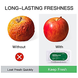 Gresource Fridge Deodorizer 6 Pack, Refrigerator and Freezer Deodorizer Odor Eliminator Reusable, Unscented Activated Carbon Odor Absorber and Moisture for Freezers, Coolers and Closet