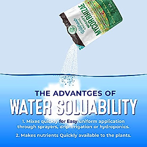 Wildroot Organic Mycorrhizae 16 Species Mycorrhizal Inoculant Drought Proof’s Plants &Trees, Saves Water & Precious Fertilizer, Root Stimulator Explodes Root Growth (1oz - 211 Plants)