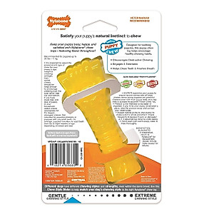 Nylabone 3 Pack of Chill and Chew Bones, Regular, Frozen Puppy Teething Toys