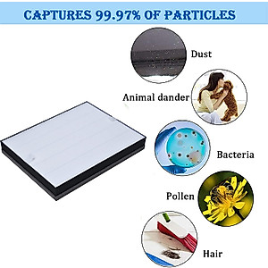 Replacement Compatible with Philips FY2422 FY2420 2000 2000i Series AC2887 and AC2882 Nano Protect True HEPA Replacement Filter (2 Sets)