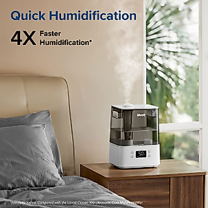 LEVOIT Humidifiers and Air Purifiers for Bedroom and Home