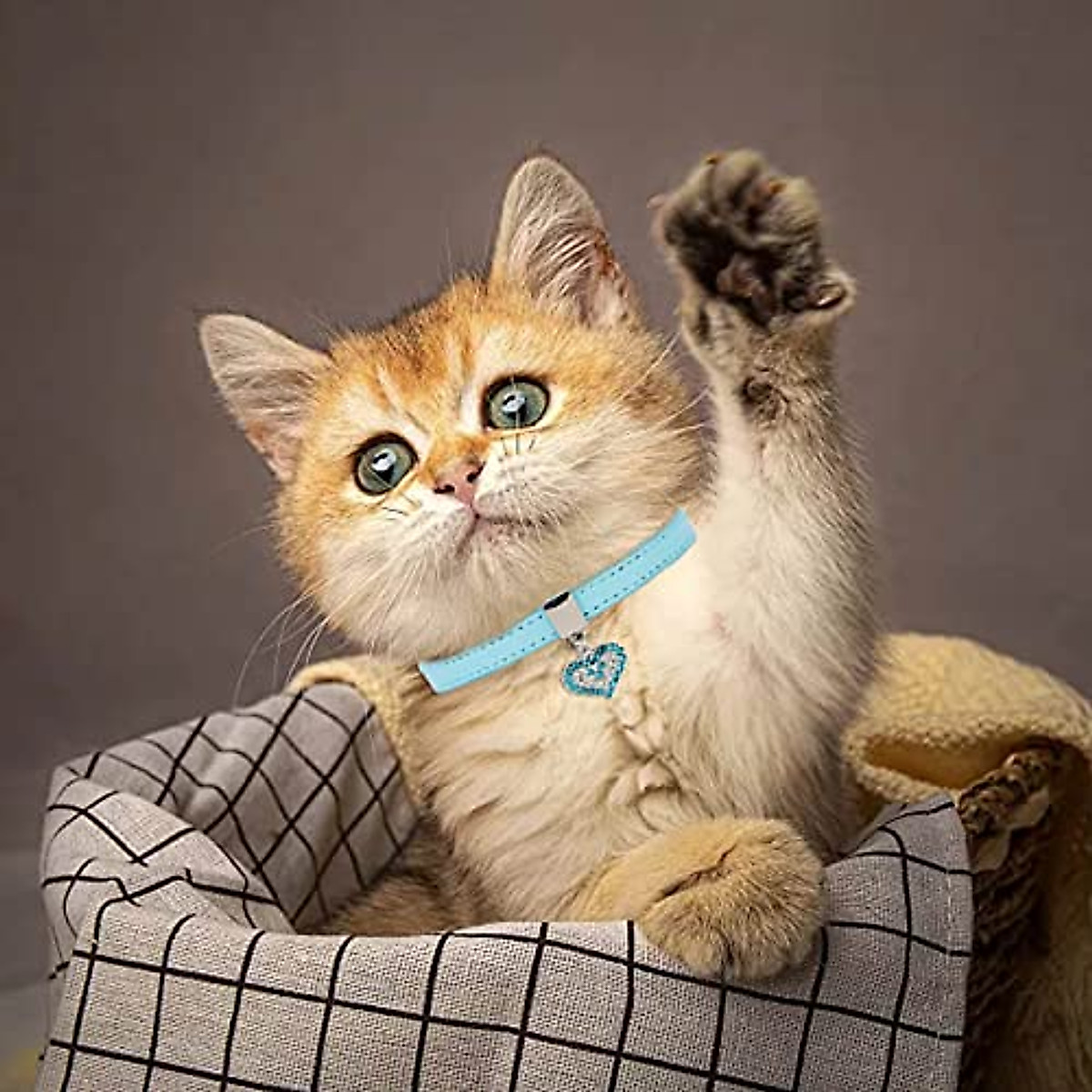 Girl Cat Collar with Bell Pet Buckle Dog Chain Cute Pet Peach Heart Dog Collar Diamond Bling Girl Small Puppy Rhinestone Cute Bowtie Pet Collar Rope