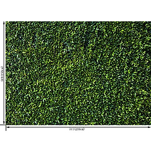 OUYIDA Green Leaves Photography Backdrops Grass Backdrop Wall Greenery Safari Party Decoration Photoshoot Newborn Baby Shower Backdrop Wedding Birthday Photo Background Studio Props Booth 7x5FT PCK41