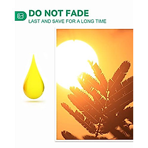 962XL Ink Cartridges Replacement for HP 962XL 962 XL Work for HP OfficeJet Pro 9015 9025 9010 9018 9020 9022 Printers(Black, Cyan, Magenta, Yellow, 4 Combo Packs)