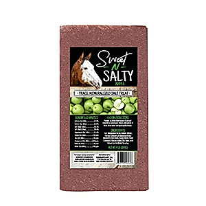 Kalmbach Feeds Sweet N Salty Apple Flavored Salt Treat Brick for Horses, 4 lb