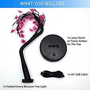 OTAVILEM Bonsai Tree Light, Tree Lamps for Living Room, Cute Night Light for House Decor, Good for Gifts, Home Decorations, Weddings, Christmas and More (Pink Cherry Blossom, 36 LED)