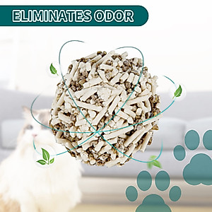 Meowgic Paws Plant-Based Cat Litter, Odor Control Quick Clumping Tofu Cat Litter, 6 lbs, Low Tracking Dust Control Lightweight Flushable Unscented Natural Kitty Litter